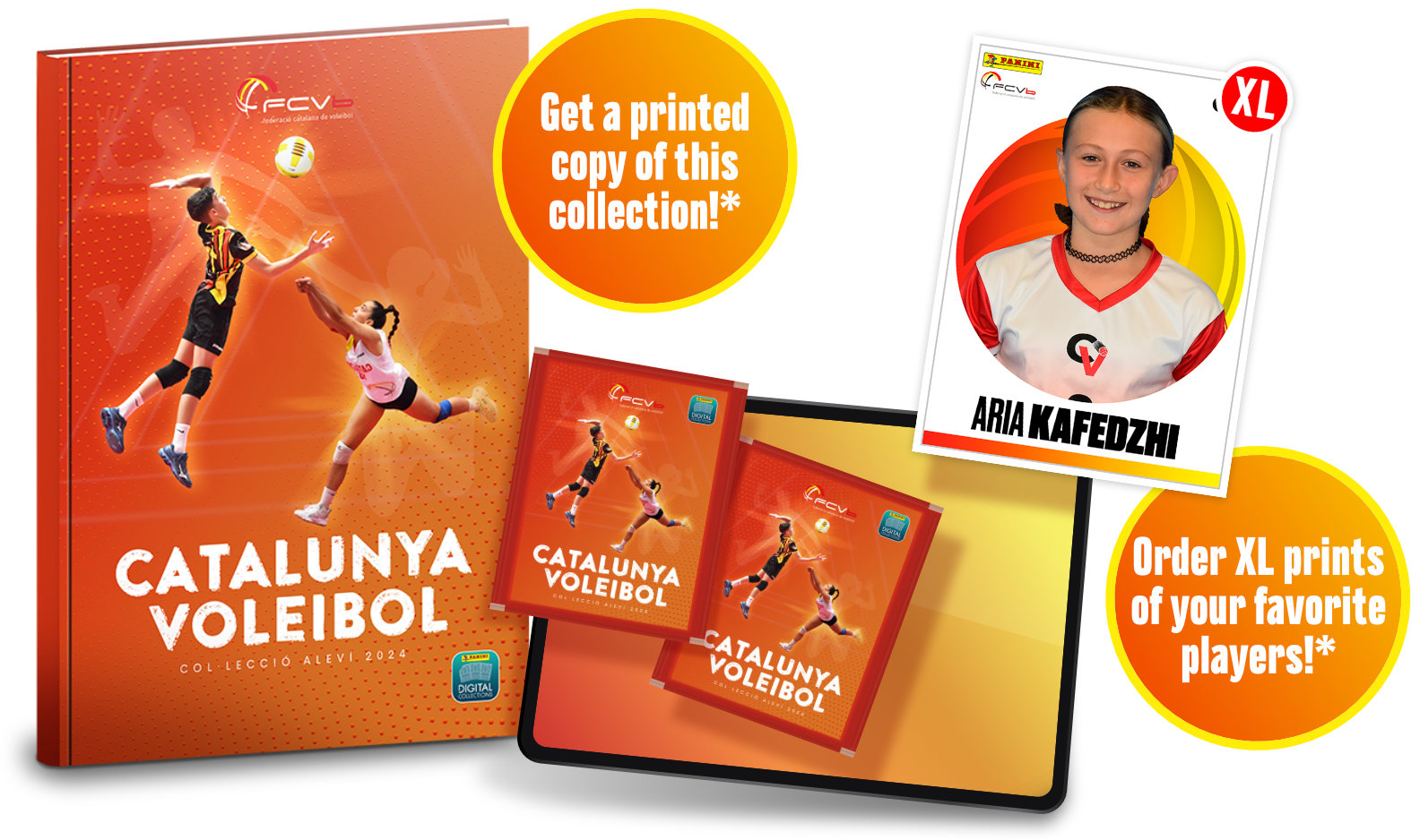 Panini Digital Collections